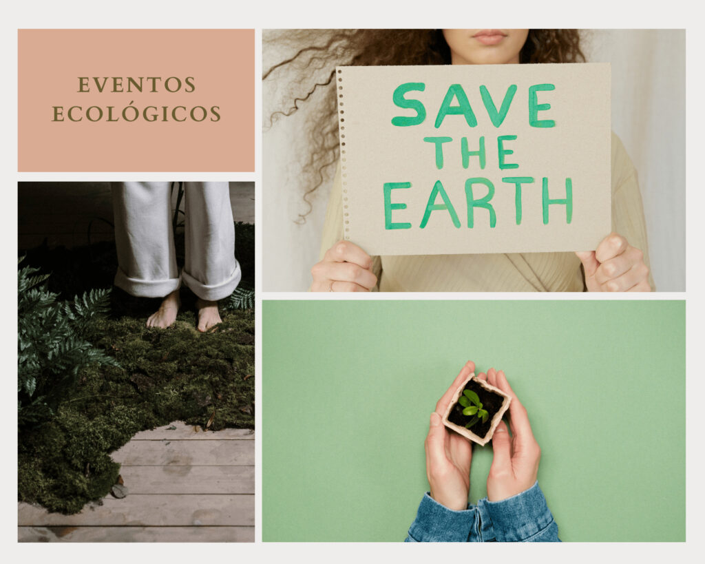 Eventos Ecológicos - Ponte Verde - Triventia | Animación y Eventos